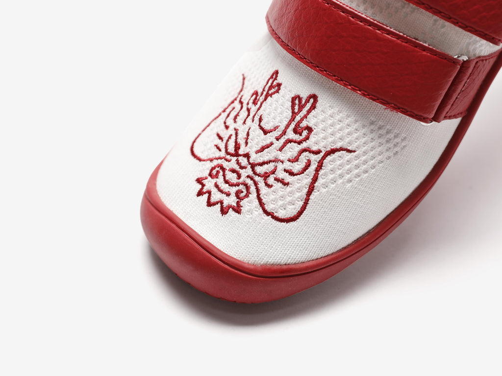 LUXIAOJUN BarePower II Loong Edition Deadlifting Shoes – MAXbarbell LLC